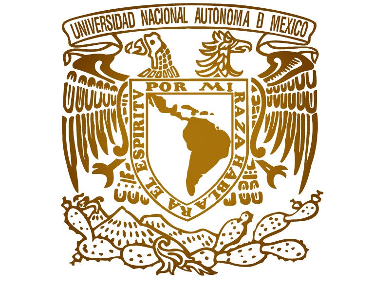 UNAM - Matics Academy